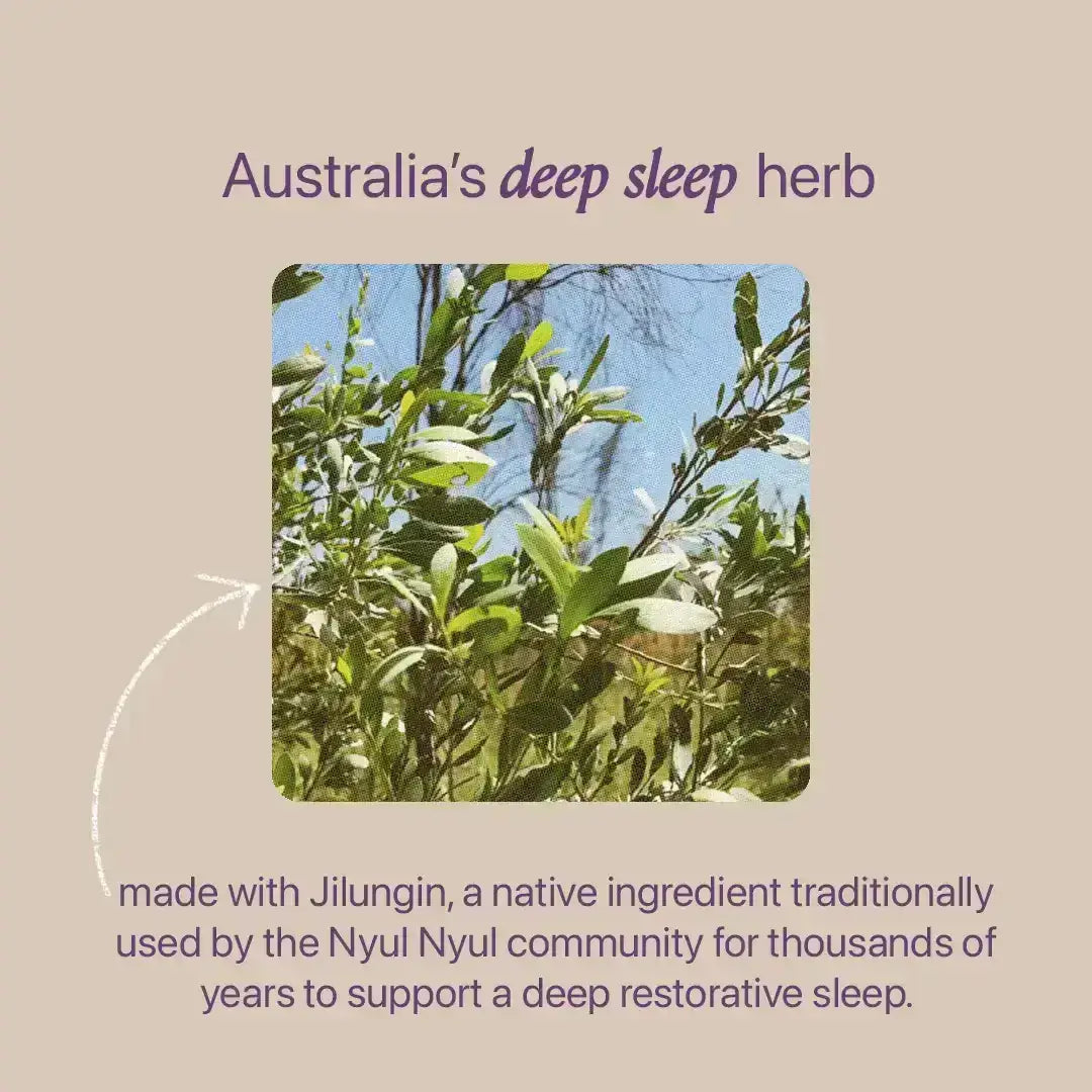 Celestial Sleep Tea - Native Australian Sleep Support | Roogenic