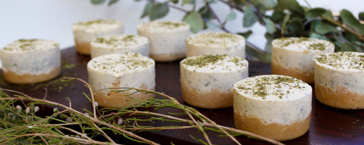 Lemon Myrtle Cheesecake – Roogenic