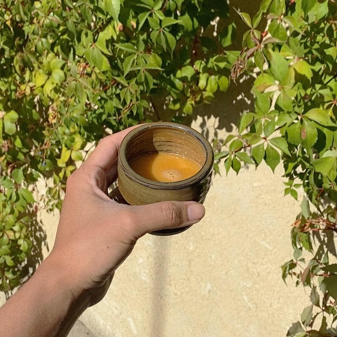 Immunity Shot with Inflammation – Roogenic