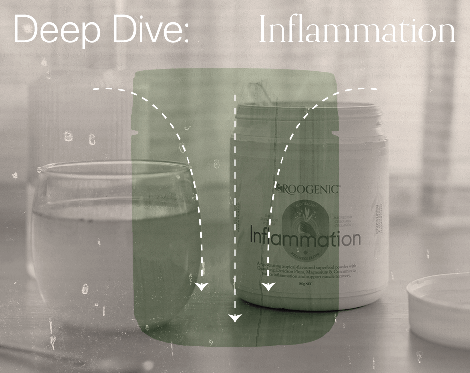 Deep Dive: Inflammation Powder – Roogenic