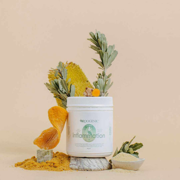 Inflammation Powder - Native Anti-Inflammatory Superfood Blend – Roogenic