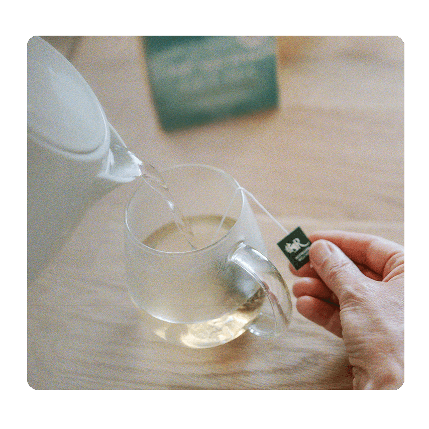 Probiotic Gut Tea – Native Blend for Digestive Wellness – Roogenic