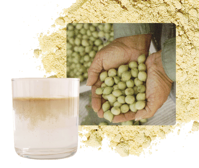 Roogenic: Australian Teas and Powders designed to support wellbeing