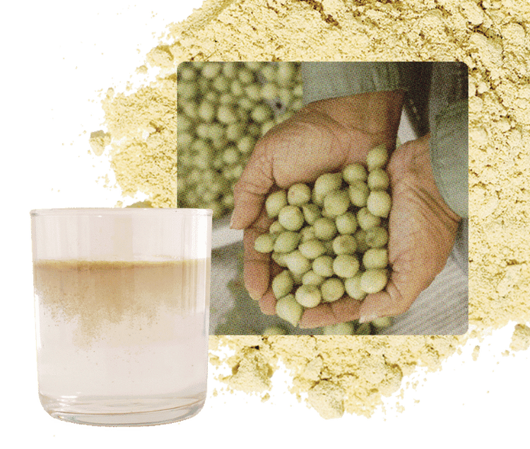 Roogenic: Australian Teas and Powders designed to support wellbeing