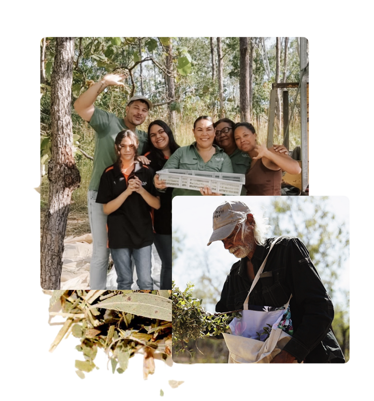 Anti-Inflammation Teas & Powders | Roogenic Inflammation Relief